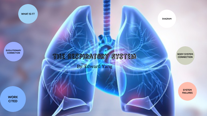 AP Biology Final Project - QAM IV by Edward Yang on Prezi