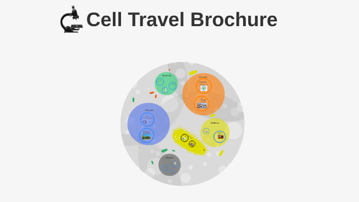 Cell Travel Brochure by Michael Madunich on Prezi