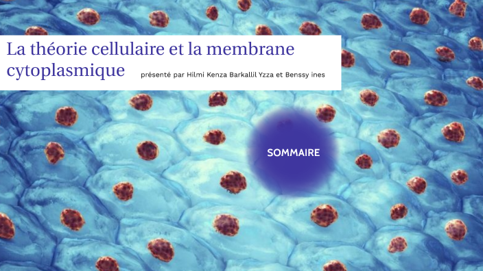 la théorie cellulaire et la membrane cytoplasmique by kenza hilmi on Prezi