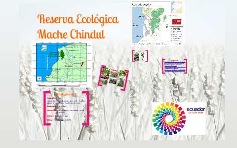 Reserva Ecológica Mache Chindul by MaRy Jumbo on Prezi