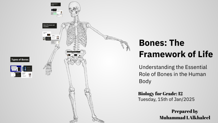 Bones: The Framework of Life by Muhammad AL-khaleel on Prezi