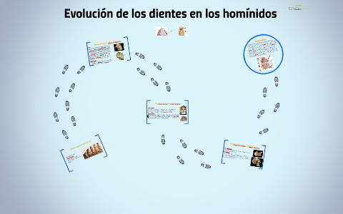 Evolución de los dientes en los homínidos by Juan Camilo Prada on Prezi