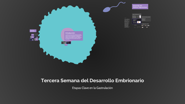 Tercera Semana del Desarrollo Embrionario by CHRISTIAN ALEXANDER ...