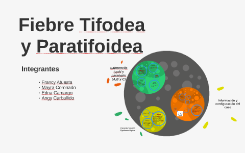 Fiebre Tifoidea y Paratifoidea by francy atuesta on Prezi