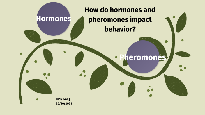 Impacts of Hormones and Pheromones by Judy Gong on Prezi