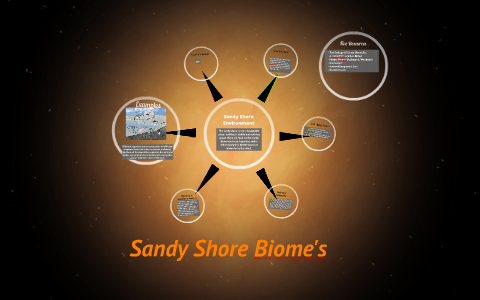 Sandy Shore Biome by Ronnie Cox on Prezi
