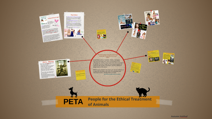 PETA - History by Autumn Holthof on Prezi