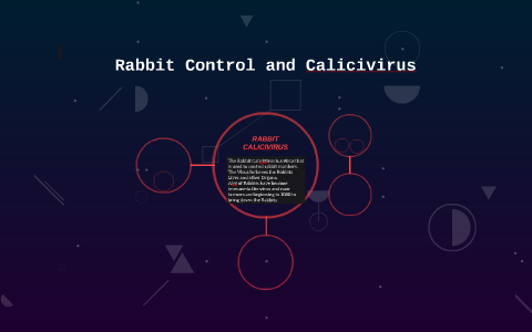 Rabbit Control and Calicivirus by Matt Symons on Prezi