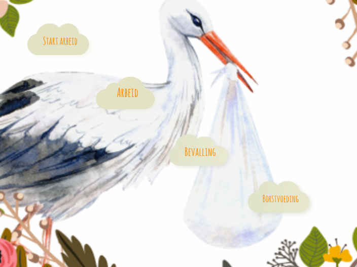 Arbeid & Bevalling by Amber Mertens on Prezi