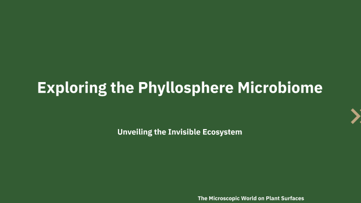 Exploring the Phyllosphere Microbiome by Varsha Varsha on Prezi