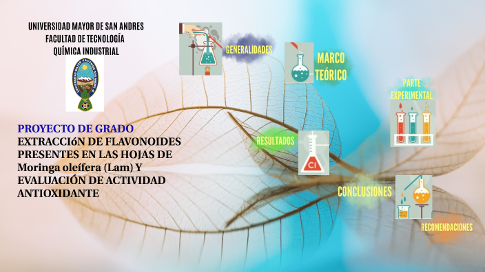 Proyecto de grado by Dania Marisol Quispe on Prezi