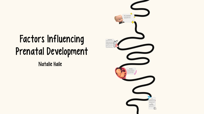Factors Influencing Prenatal Development by Natalie H on Prezi