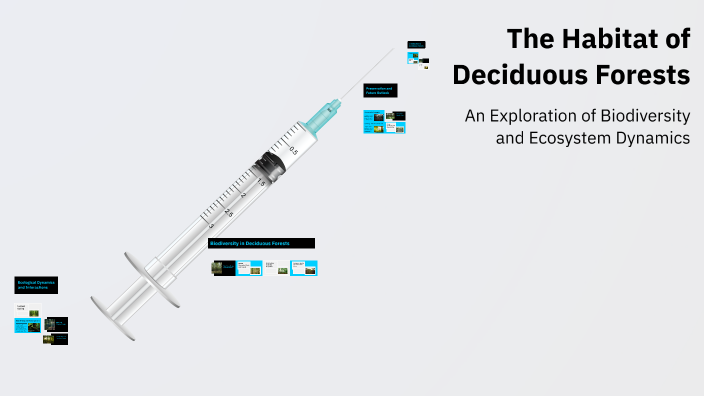 The Habitat of Deciduous Forests by Andrada Rus on Prezi