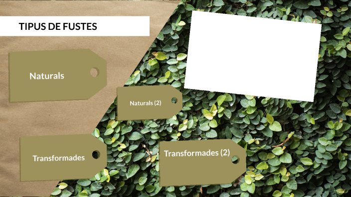 Tipus De Fustes by Isaac Garcia on Prezi