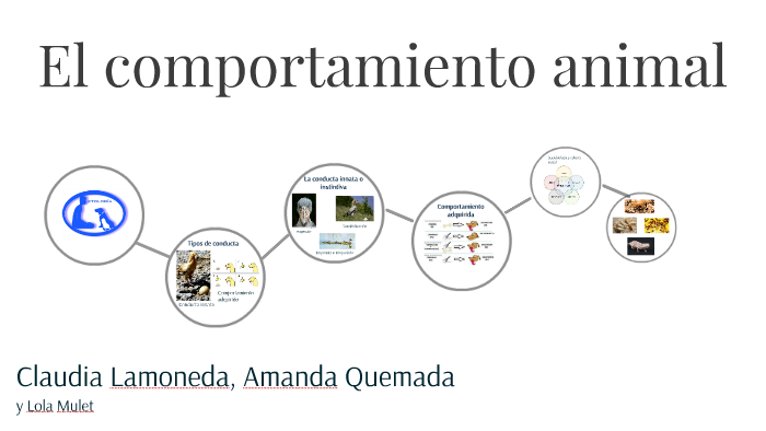 El comportamiento animal by claudia lamoneda on Prezi