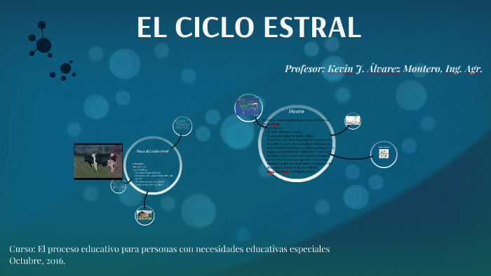 EL CICLO ESTRAL by Kev Almo on Prezi