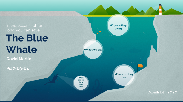 The Blue Whale by david martin on Prezi