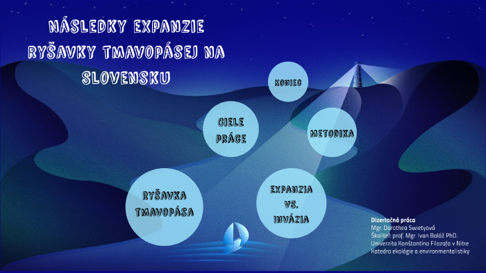 Dizert by Dorothea on Prezi