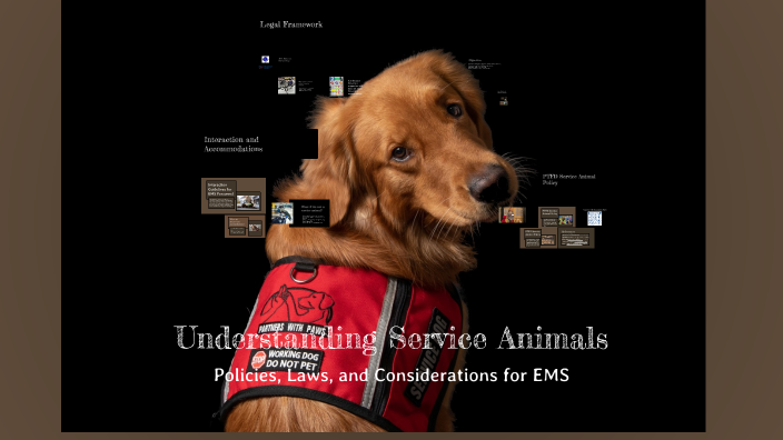 Understanding Service Animals by EMS 241 on Prezi