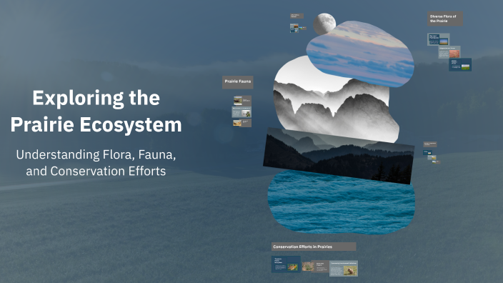 Exploring the Prairie Ecosystem by Sergio Del Real on Prezi
