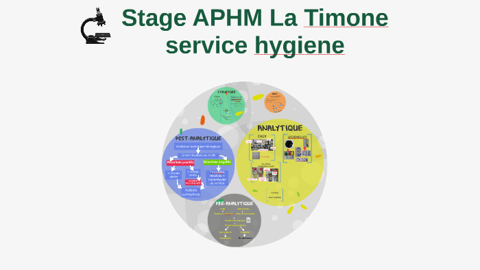 Stage APHM La Timone service hygiene by sofia deh on Prezi