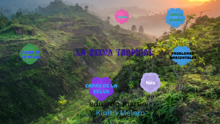 la selva tropical by e m on Prezi