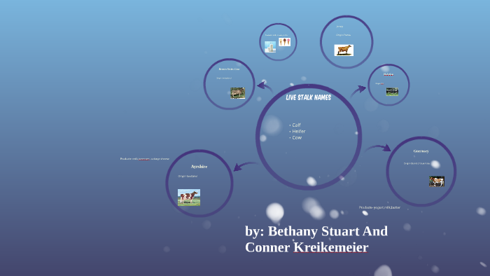 Dairy by bethany stuart on Prezi