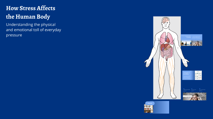 How Stress Affects the Human Body by Isatu Barrie on Prezi