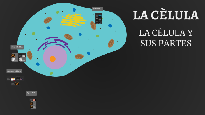 LA CÈLULA by yenny vera on Prezi