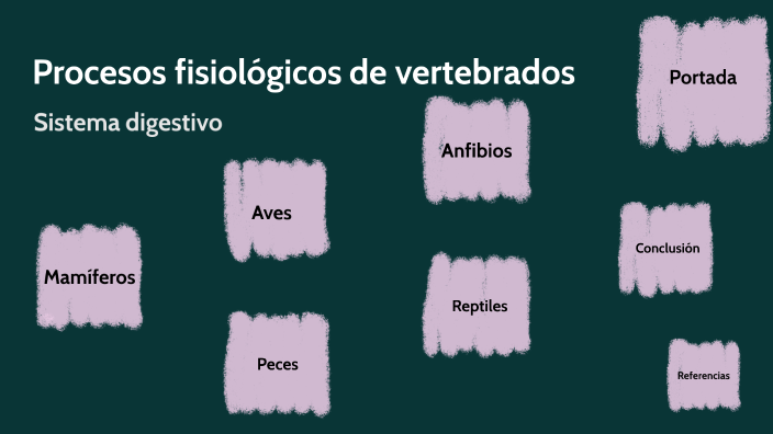 Procesos fisiológicos del sistema digestivo en animales vertebrados by ...