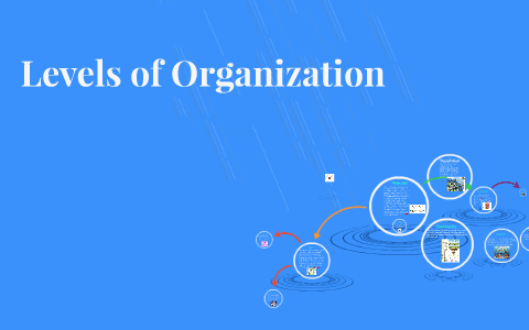 Levels of Organization by Vanessa Mahoney on Prezi