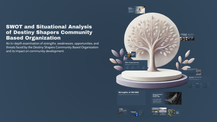 SWOT and Situational Analysis of Destiny Shapers Community Based ...