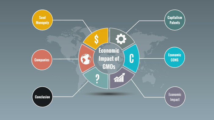 Economic Impact of GMOs by Alessio Boroni on Prezi