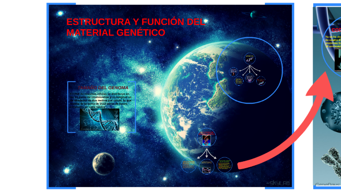 ESTRUCTURA Y FUNCION DEL MATERIAL GENETICO by Ramiro Deiver Gomez ...