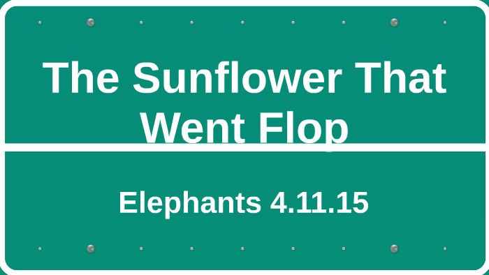 The Sunflower That Went Flop by Room 6 Walters on Prezi