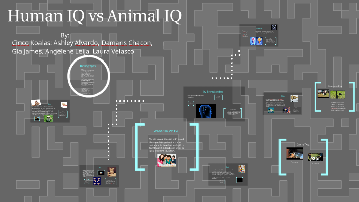 Human IQ vs Animal IQ by Gary the snail is bae on Prezi