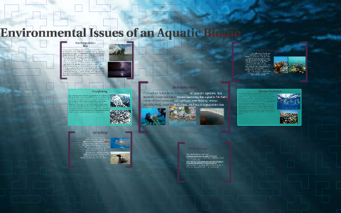 Environmental Issues of an Aquatic Biome by lina walker on Prezi