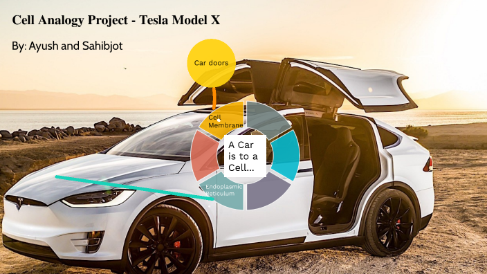 Cell Analogy Project - Car by Ayush Nair on Prezi
