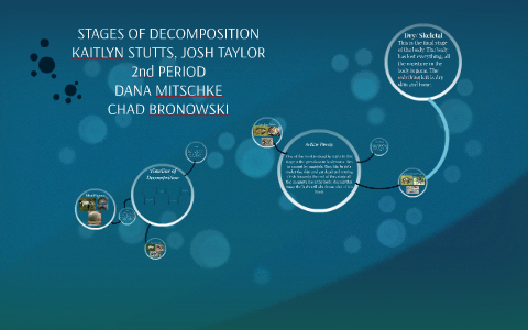 STAGES OF DECOMPOSITION by Josh Taylor on Prezi