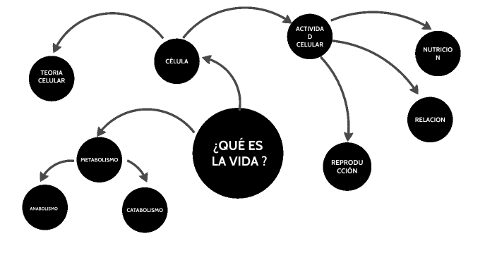¿QUÉ ES LA VIDA? by antonela fernandez on Prezi