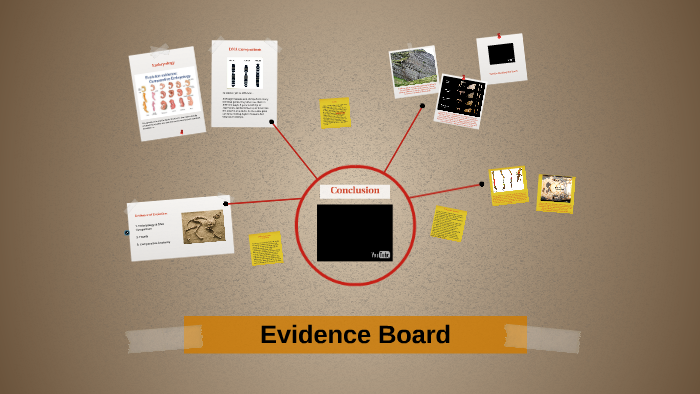 Evidence Board by Kathryn Wood on Prezi
