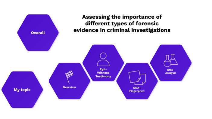 Assessing the importance of different types of forensic evidence in ...