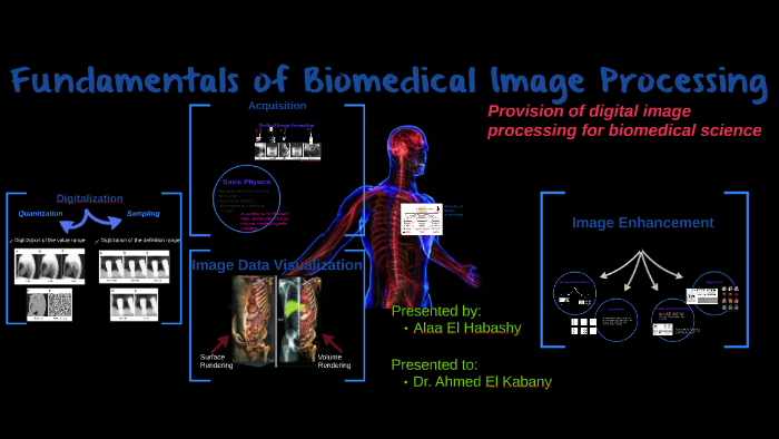 Fundamentals of Biomedical Image Processing by Alaa ElHabashy on Prezi