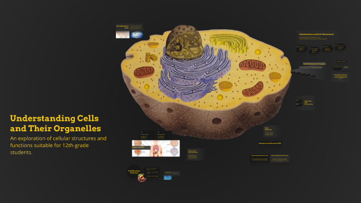 Understanding Cells and Their Organelles by Shruti Acharya on Prezi