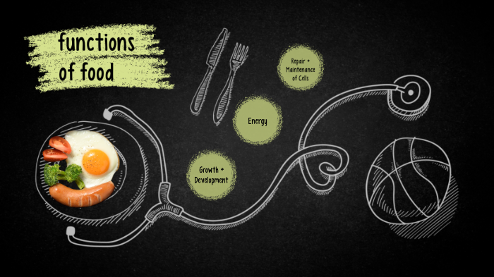 3 Food Functions by kate wilsmore on Prezi