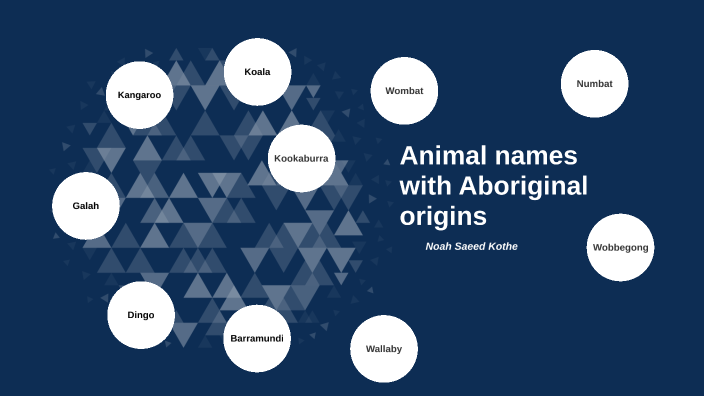 Animal Names With Aboriginal Origins. by Noah Kothe on Prezi