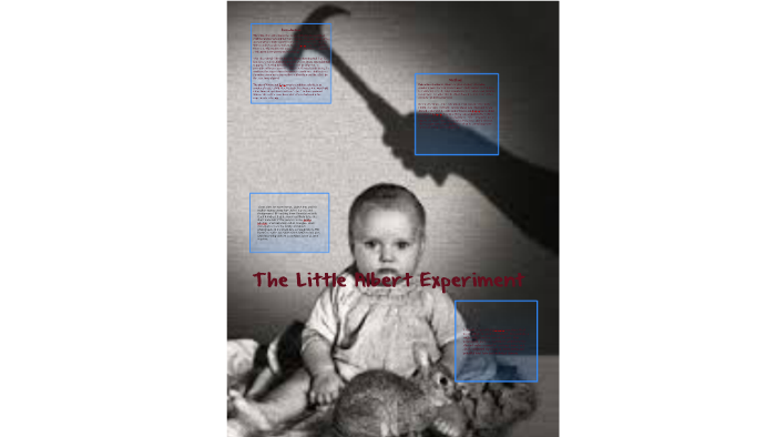 The Little Albert Experiment by Lára Boyce on Prezi