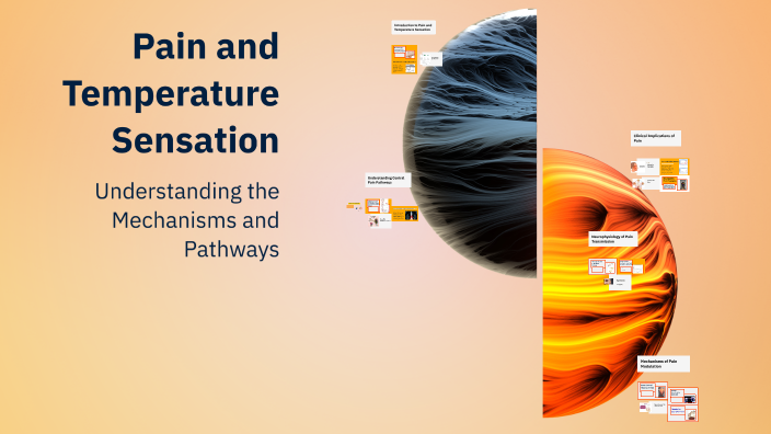 Pain and Temperature Sensation by kimia taghian on Prezi