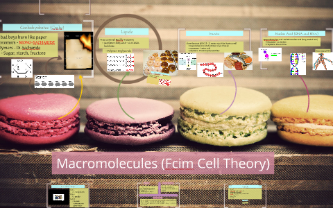 F.C.I.M-Cell theory/Macromolecules by on Prezi