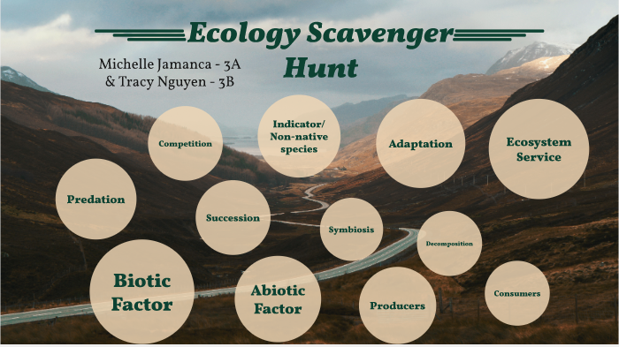 APES Ecology Scavenger Hunt by Michelle Jamanca on Prezi